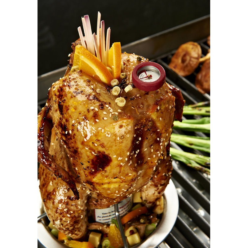 Broil King Stainless Steel Chicken Roaster | Wayfair