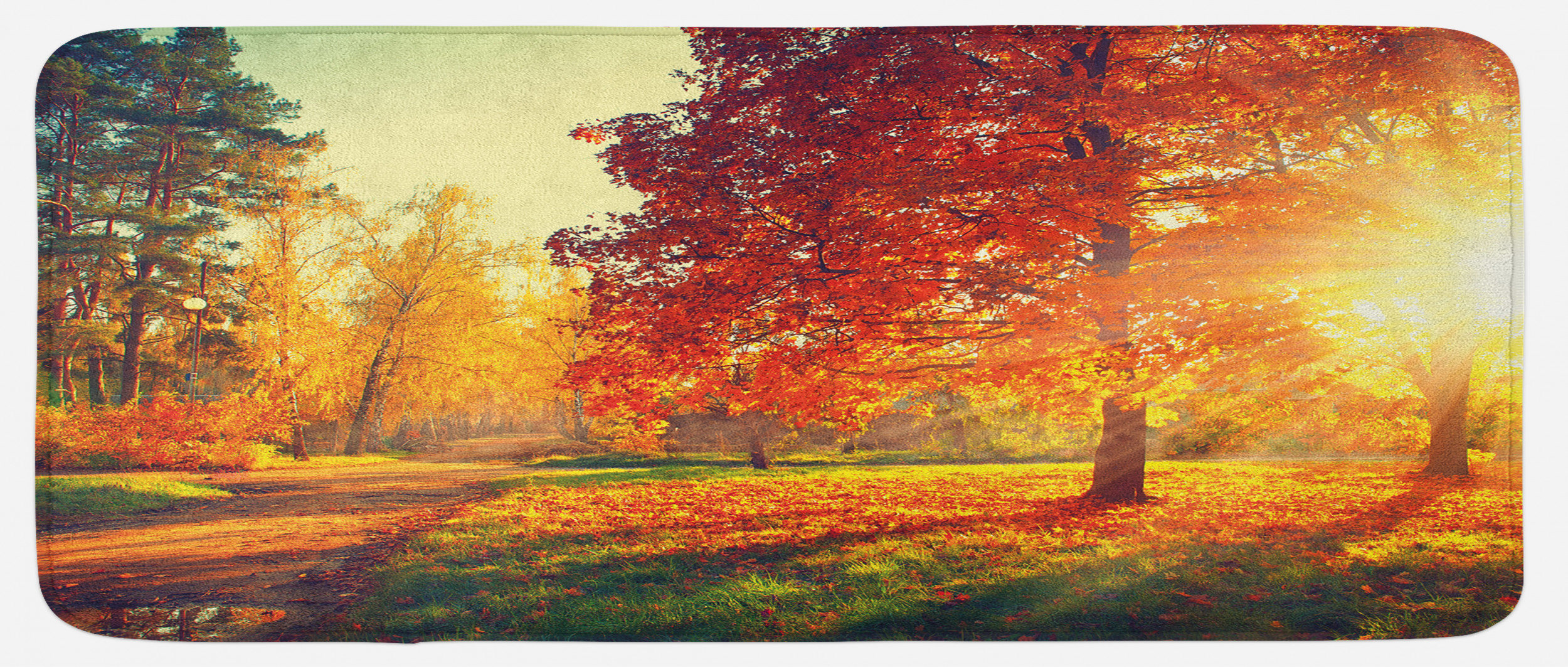 East Urban Home Vibrant Misty Day In Forest Sun Rays Trees Foliage ...