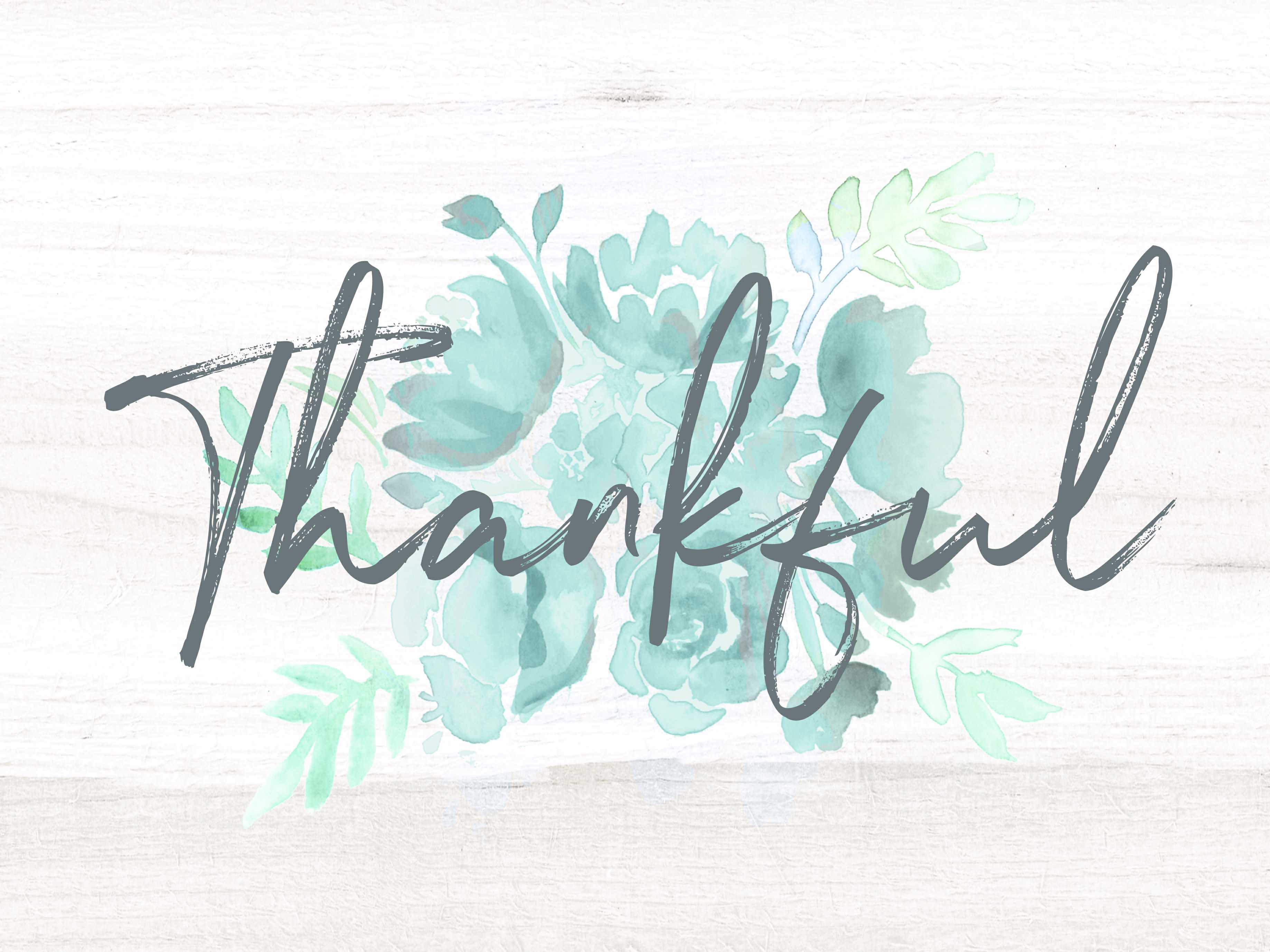 Winston Porter Thankful White - Wrapped Canvas Print | Wayfair