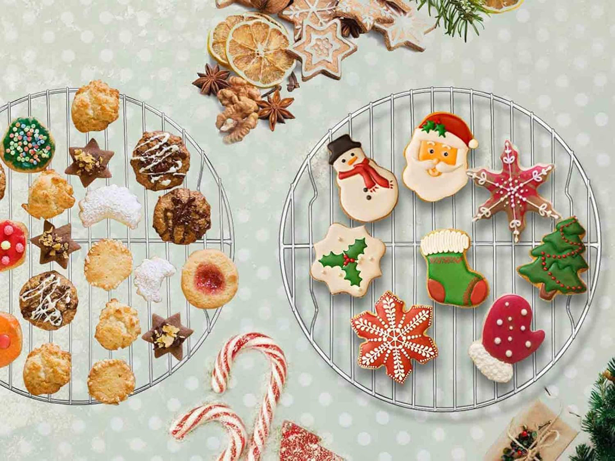 PISILY 2 Pack Round Cooling Rack 10½ Inch, Stainless Steel Round Rack ...