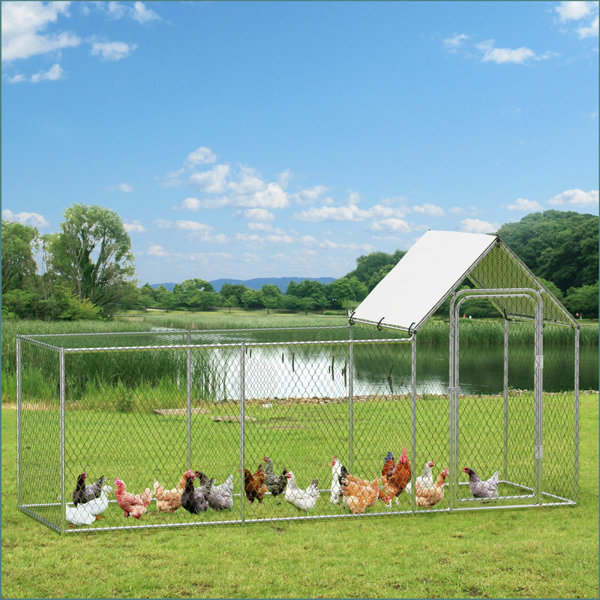 17 Stories Metal Chicken Coop for 6/10 Chickens, Walk-in Chicken Coop ...