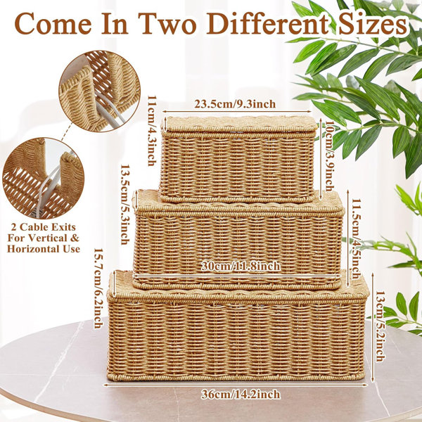 Elaine Mercure 3 Pcs Rattan Cable Management Box Woven Cord Organizer ...