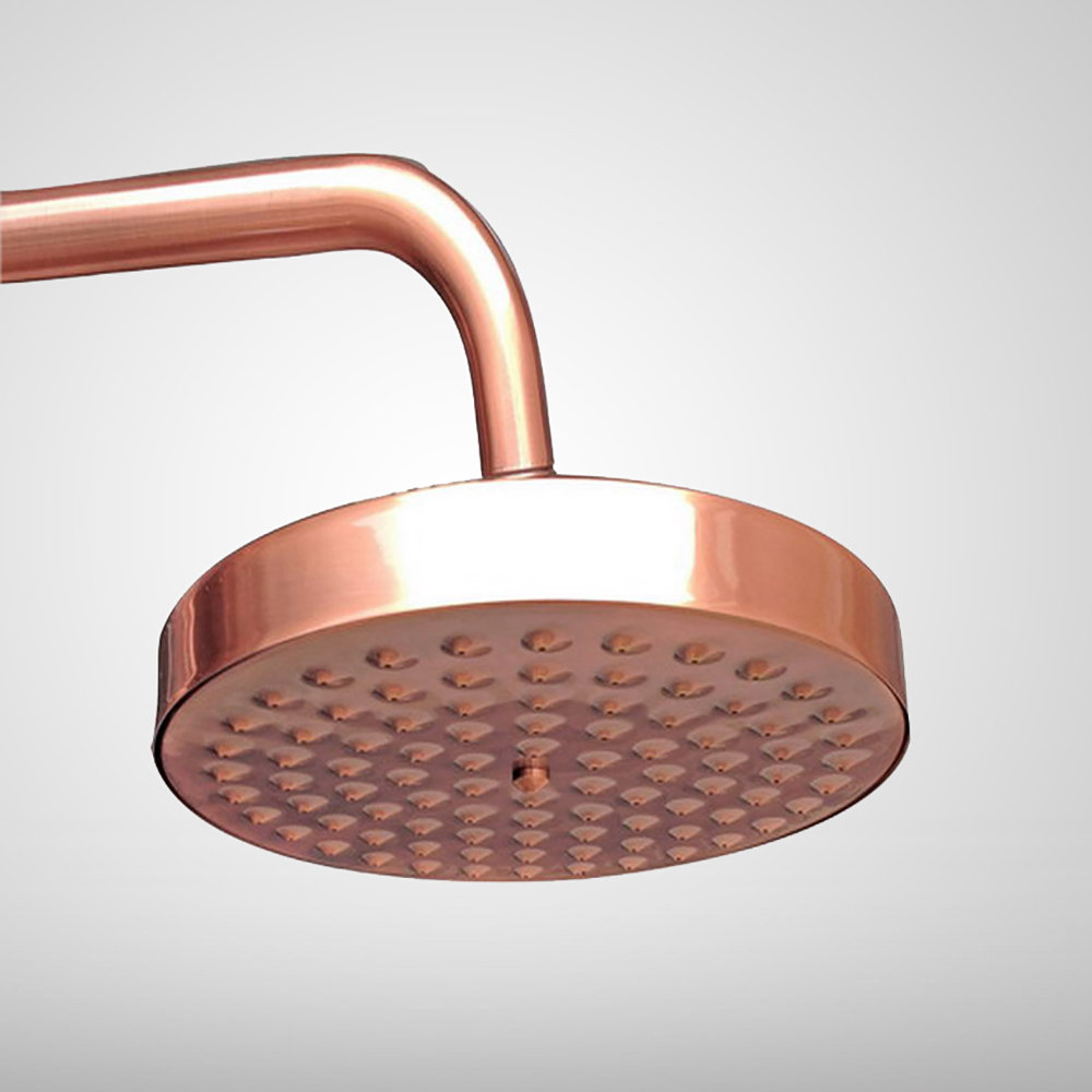 Bathselect Rain Fixed Shower Head 1 75 Gpm Gpm With Temperature Memory
