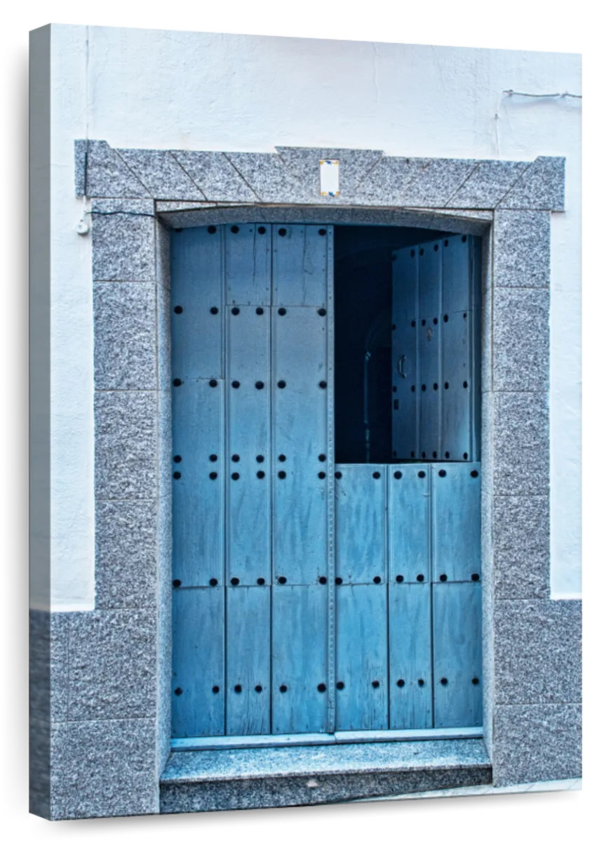 Elephant Stock Blue Dutch Door | Wayfair