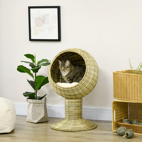 Wayfair | Round Cat Beds You'll Love in 2023