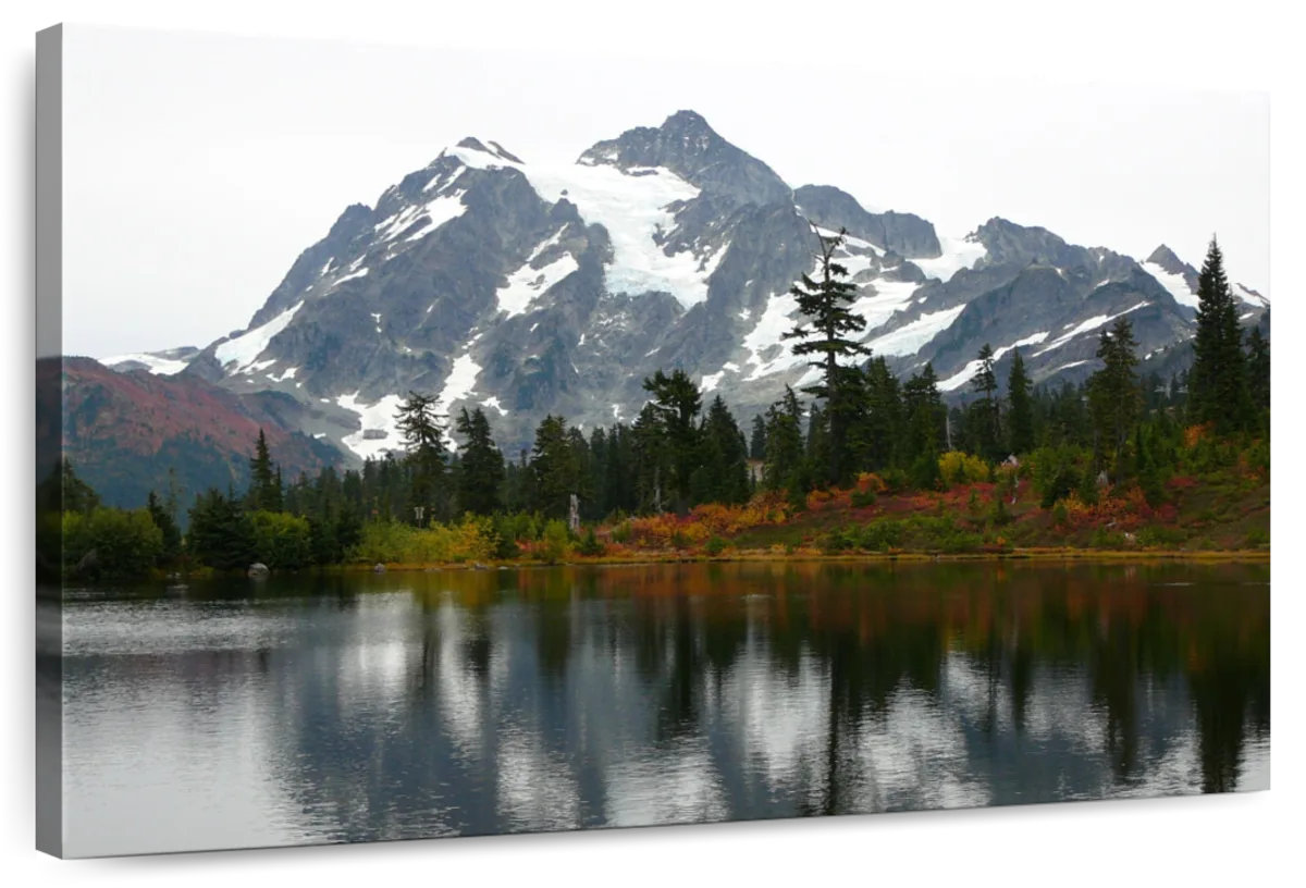Millwood Pines Alvord Mount Baker Reflection | Wayfair