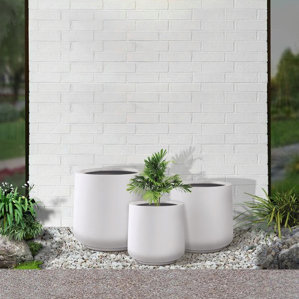 AllModern Tali 3 Piece Round Concrete Planter, Outdoor Indoor Large ...