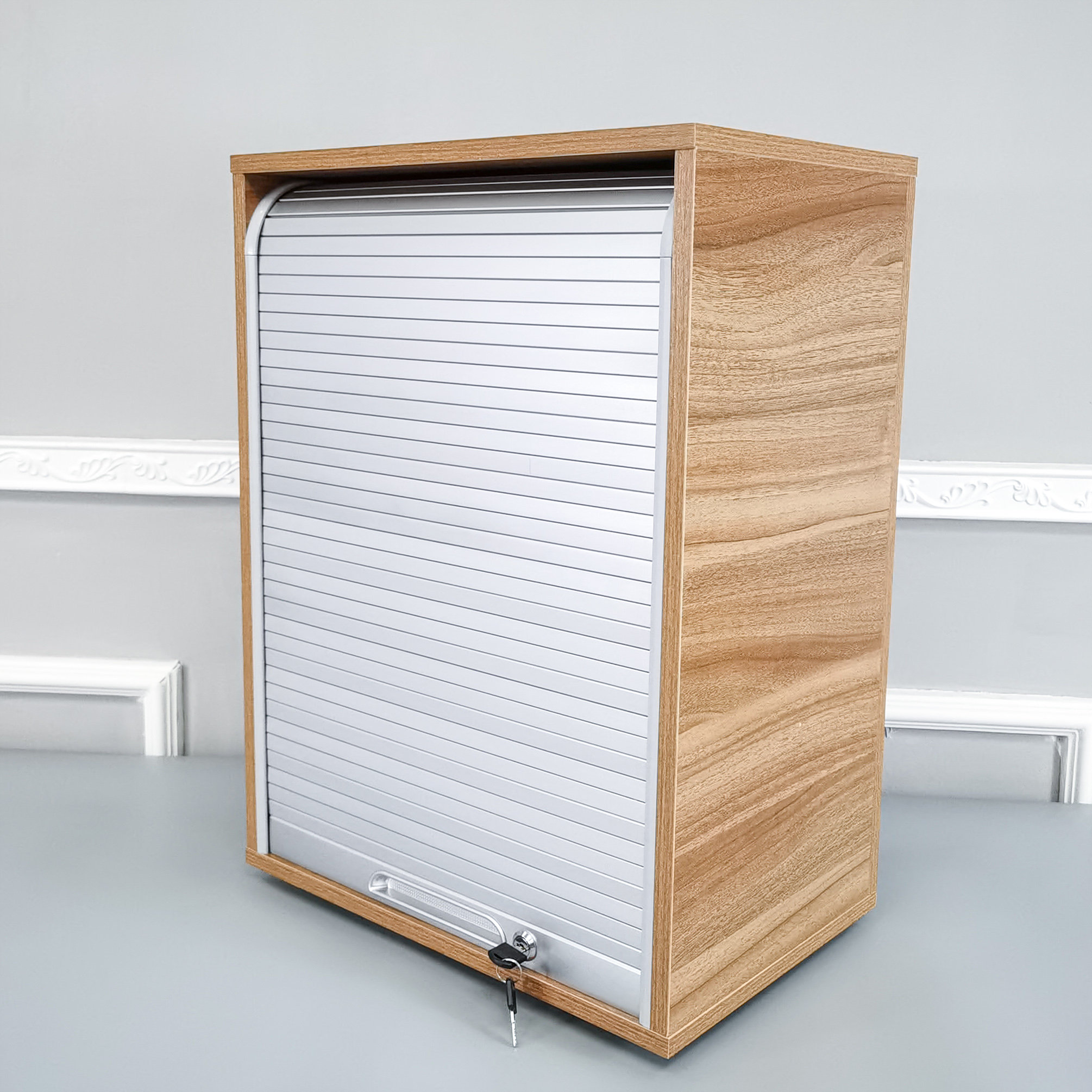 Latitude Run® Roll Up Door Gun Cabinet Treasure Chest 18" W x 24.8" H x ...