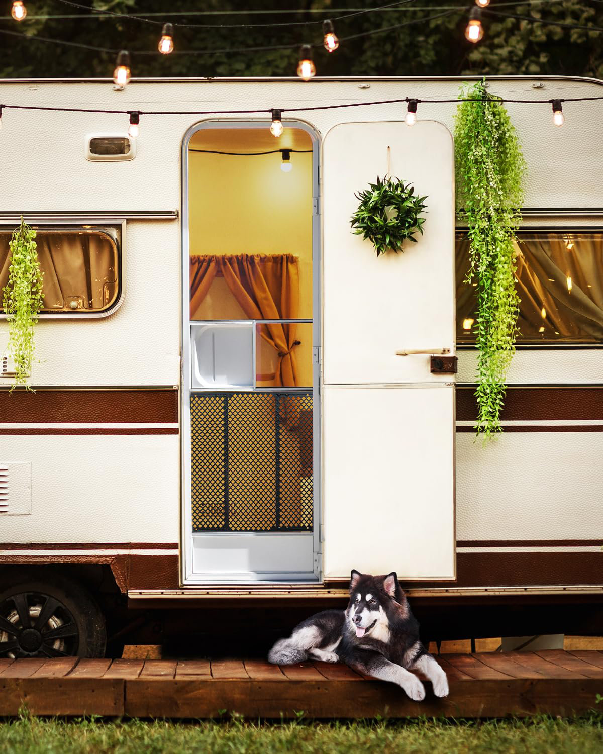 Archie & Oscar™ Screen Door Protector For Dogs - Wayfair Canada