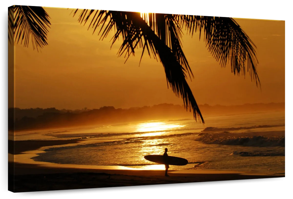 Beachcrest Home™ Gillard Sunset Gold Surfer | Wayfair