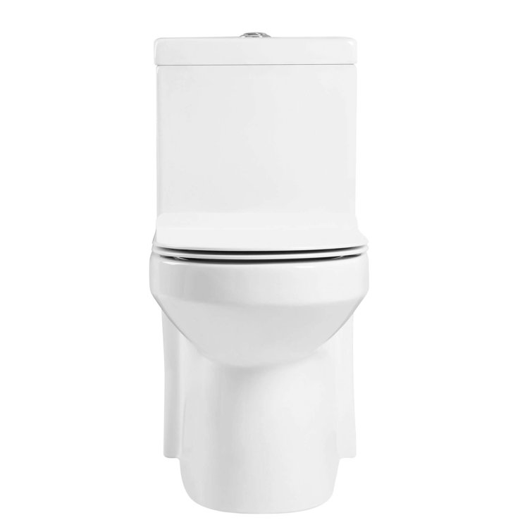 Fine Fixtures Dual-Flush Round One-Piece Toilet (Seat Included ...