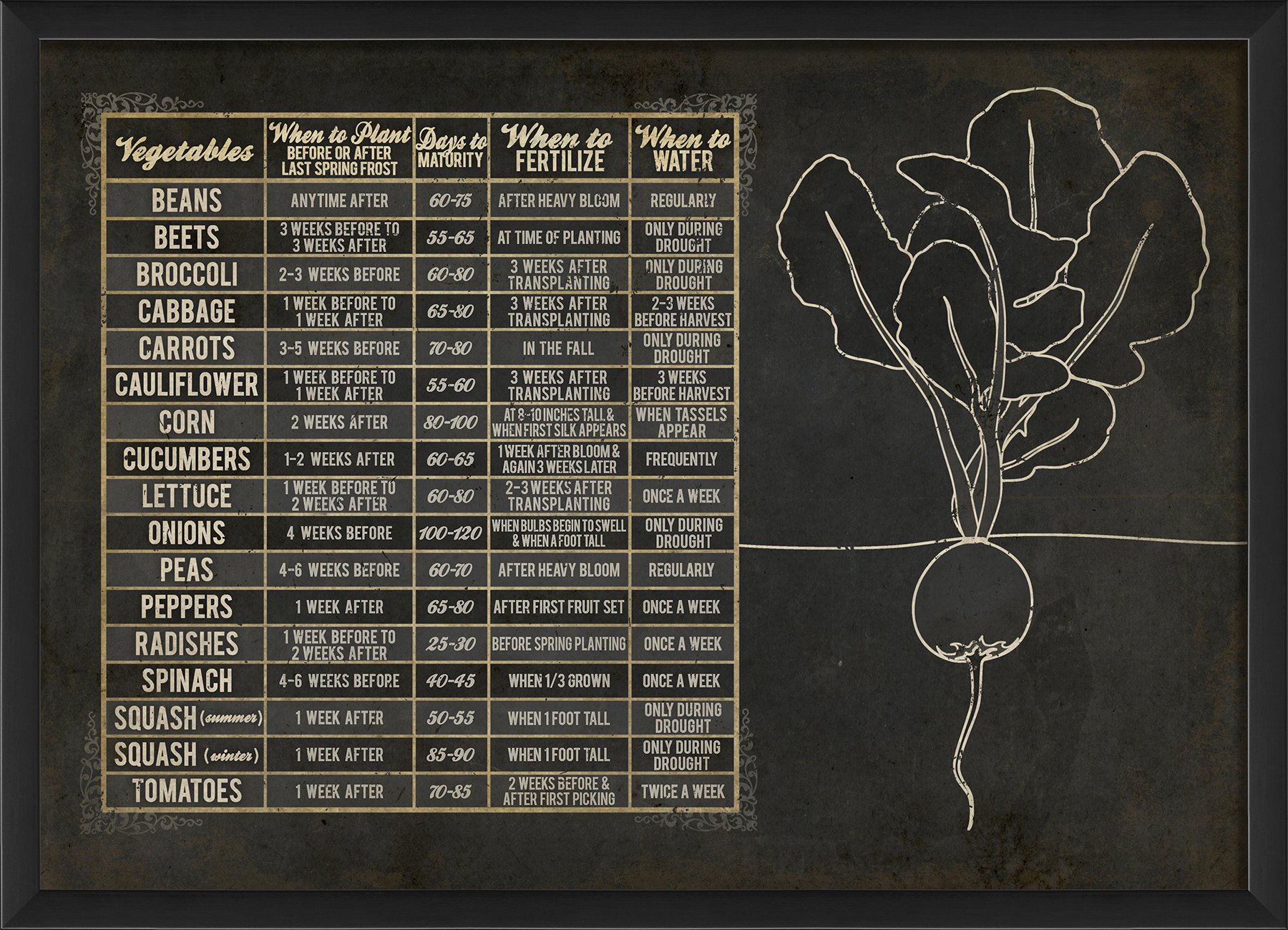 Gracie Oaks 'Vegetable Chart' Framed Wall Art | Wayfair