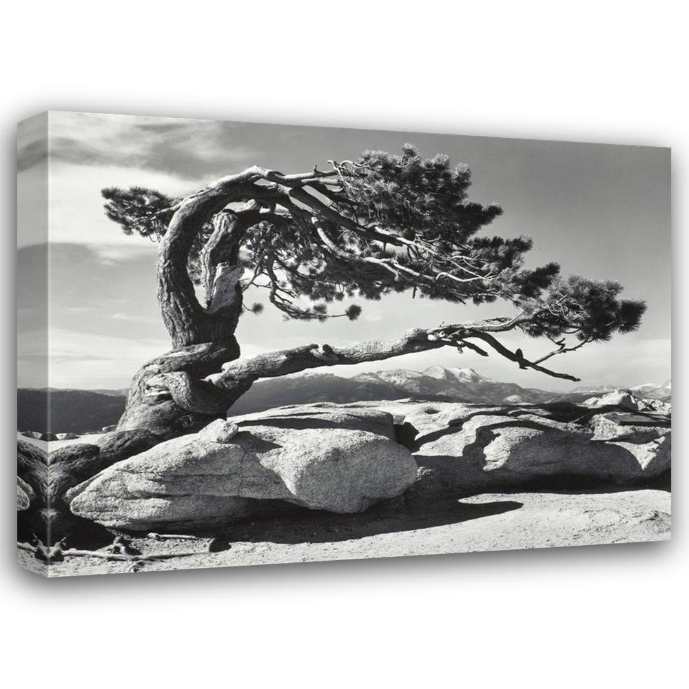 Canora Grey Moon and Half Dome, Yosemite Valley | Wayfair