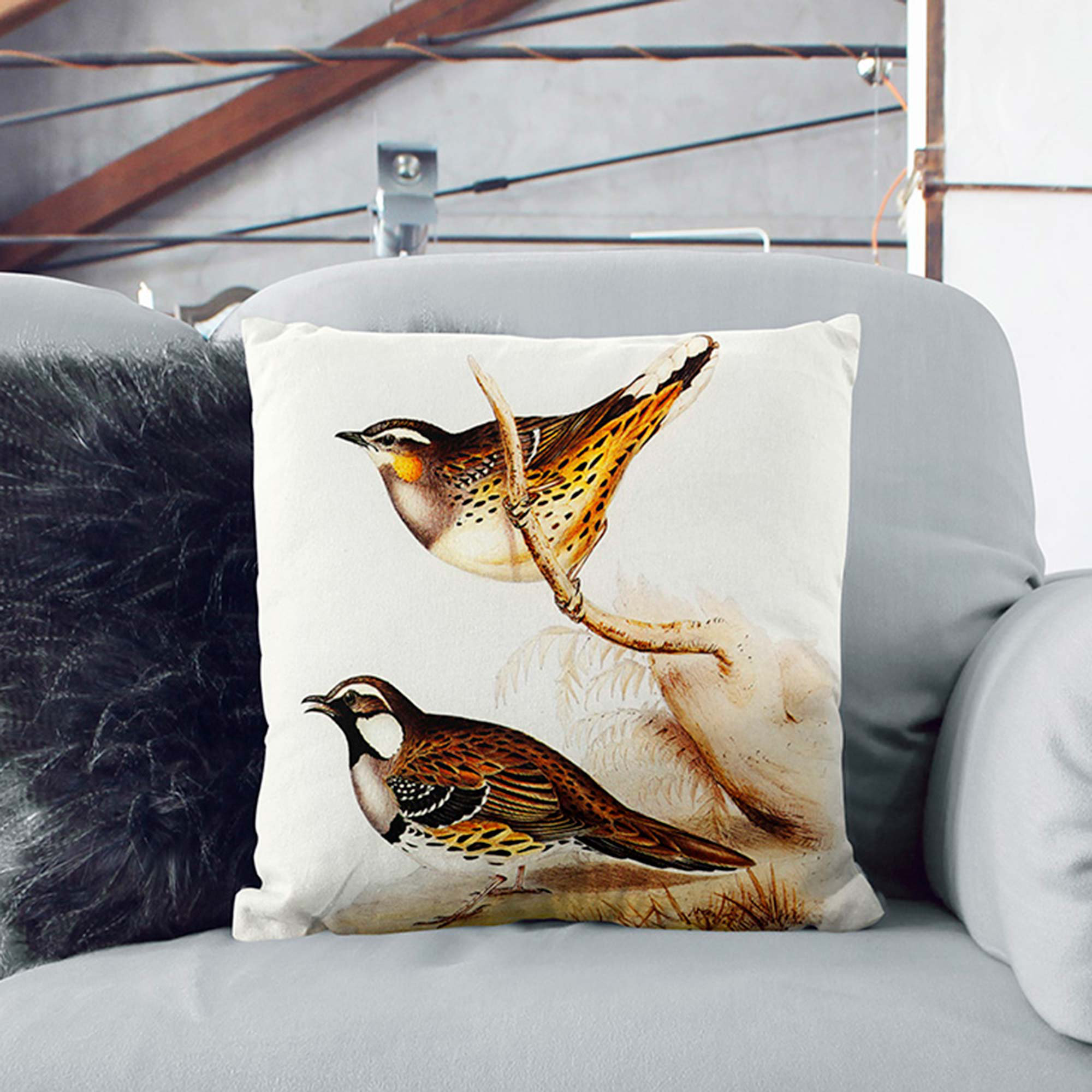 East Urban Home Spotted Ground Thrush Birds by Elizabeth Gould Cushion ...