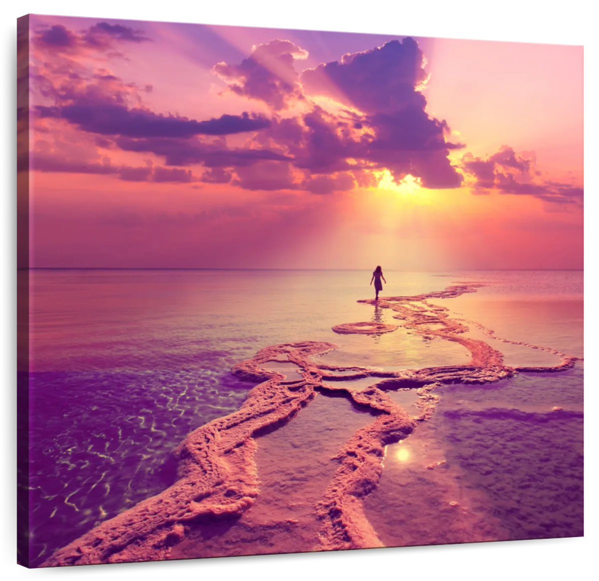 Elephant Stock Dead Sea Sunrise Stroll | Wayfair
