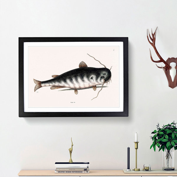 East Urban Home Cat Fish by Mark Catesby - Picture Frame Graphic Art ...