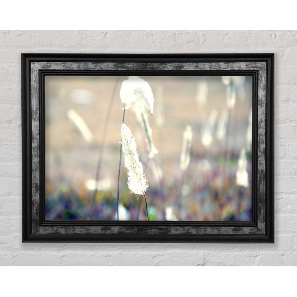 Bright Star Grass Fluff Summer - Single Picture Frame Print | Wayfair.co.uk
