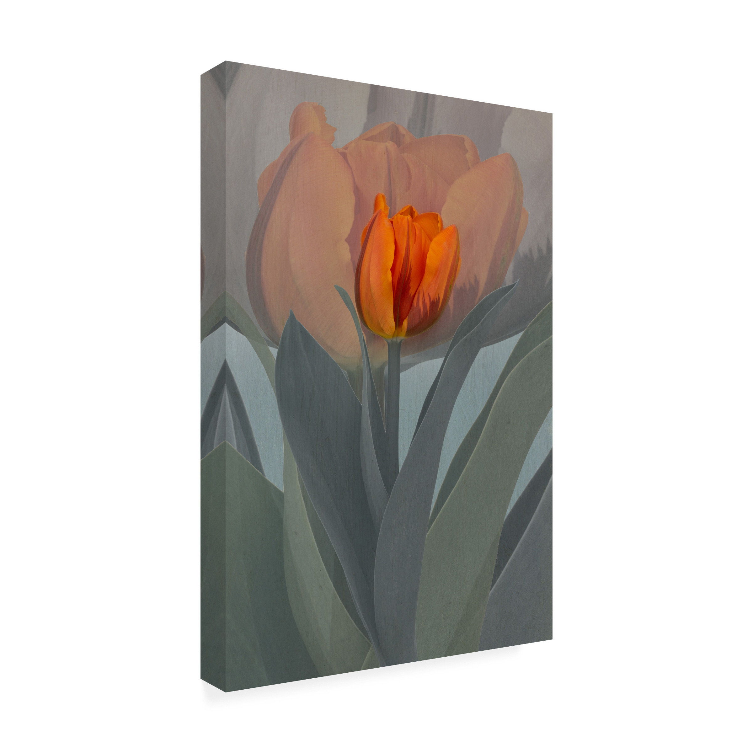 Trademark Fine Art Modern & Contemporary Candle On Canvas by Richard ...