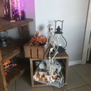 Sand & Stable™ Solid Wood Crate & Reviews | Wayfair