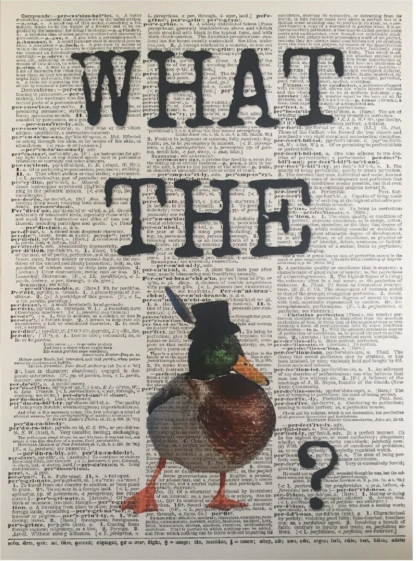 Happy Larry A3 Duck Vintage Dictionary Print - Duck Wall Art Picture ...