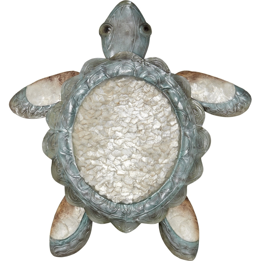 Bayou Breeze Ruffled Sea Turtle Wall Décor | Wayfair