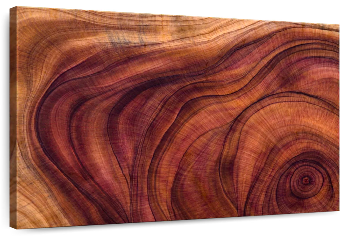 Elephant Stock Wood Grain Pattern | Wayfair