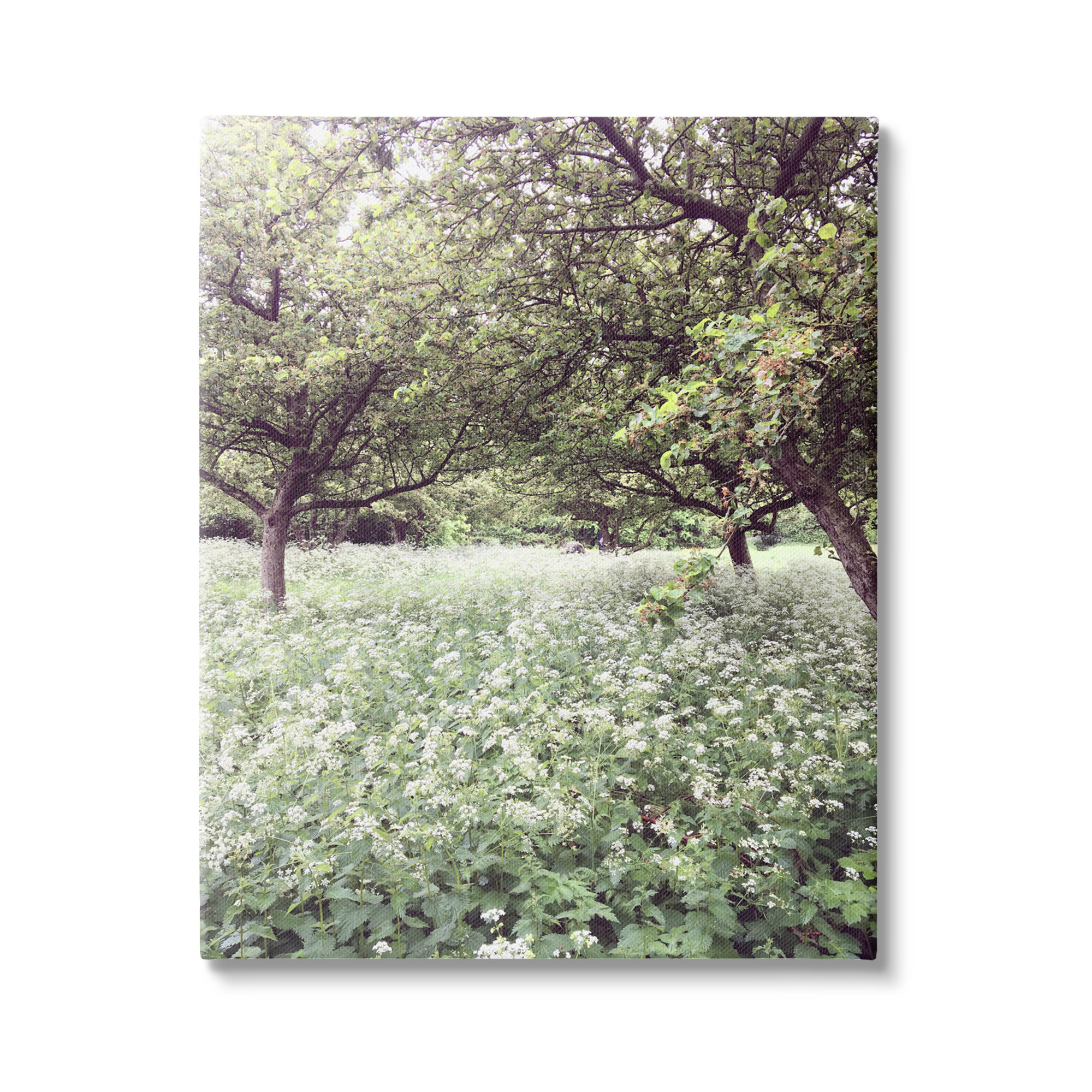 Winston Porter Lush Meadow Trees Canvas Wall Art by Sarah Jane ...