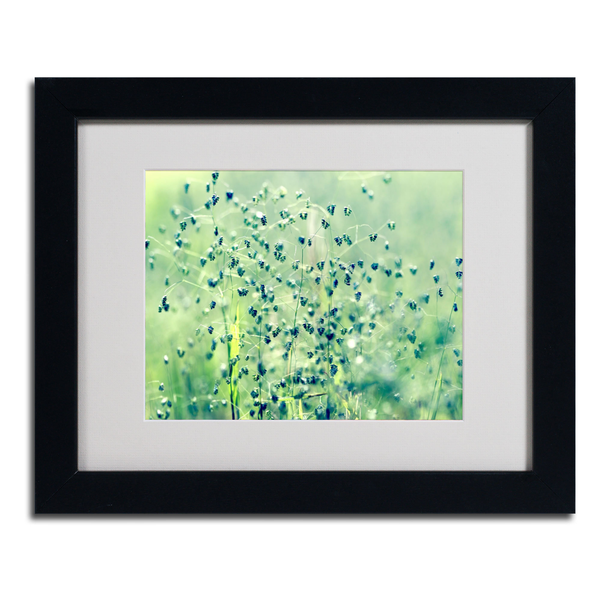 Ebern Designs 'Spring Notes' Framed Photographic Print on Canvas | Wayfair