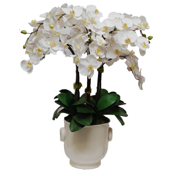 Winward Silks Orchid Arrangement in Pot | Wayfair
