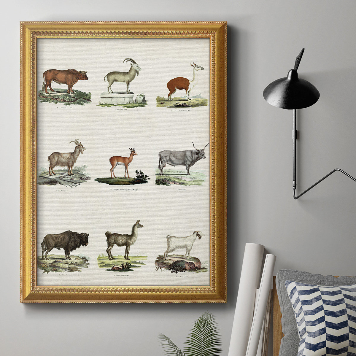 Rosalind Wheeler Antique Animal Chart I Premium Framed Canvas- Ready To ...