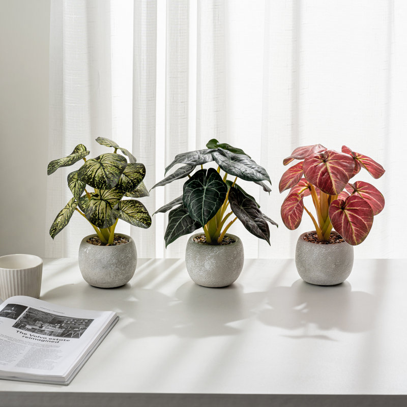 Primrue Artificial Indoor Small Fake Leafy Plants & Reviews | Wayfair