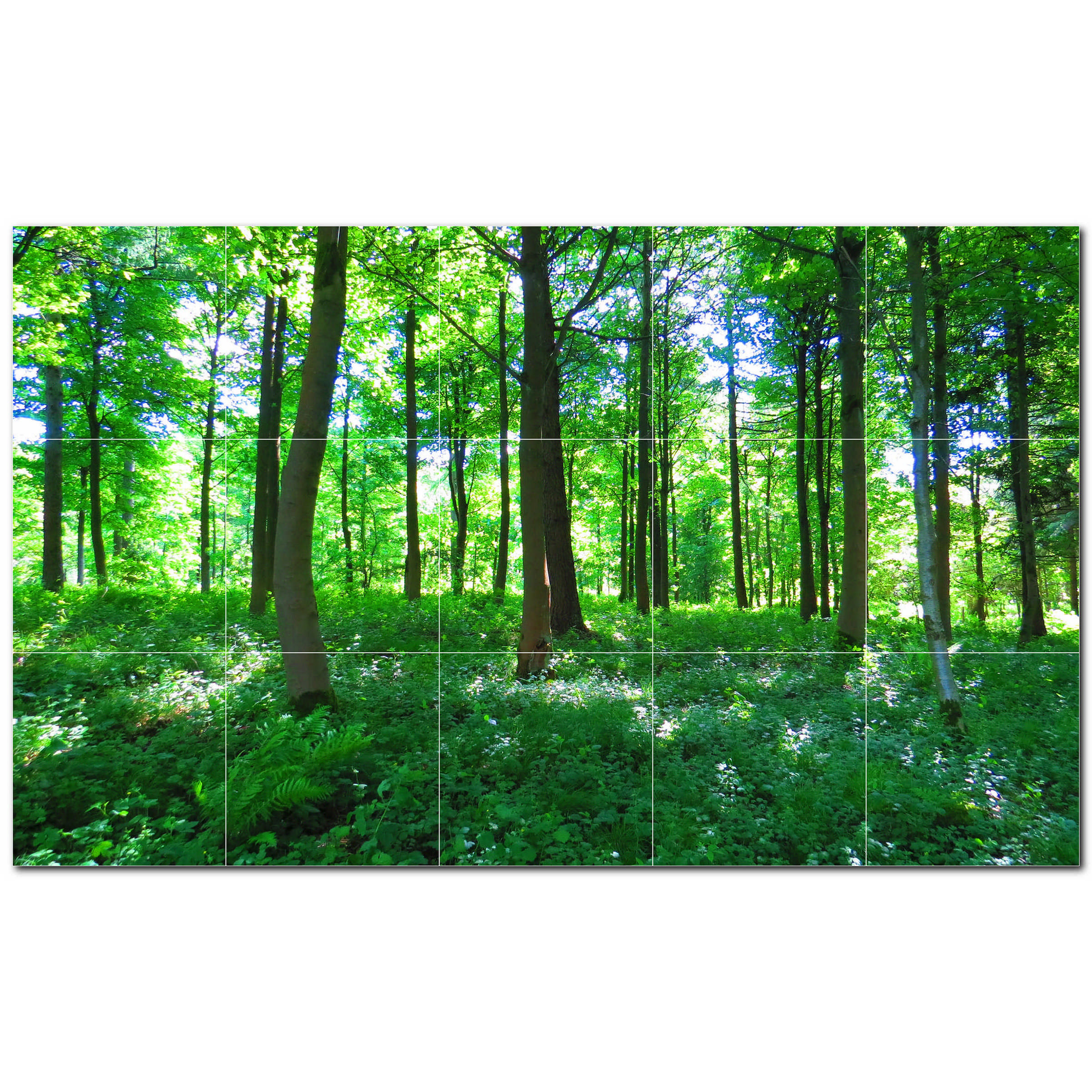 Picture-Tiles.com Trees Photo Decorative Mural | Wayfair
