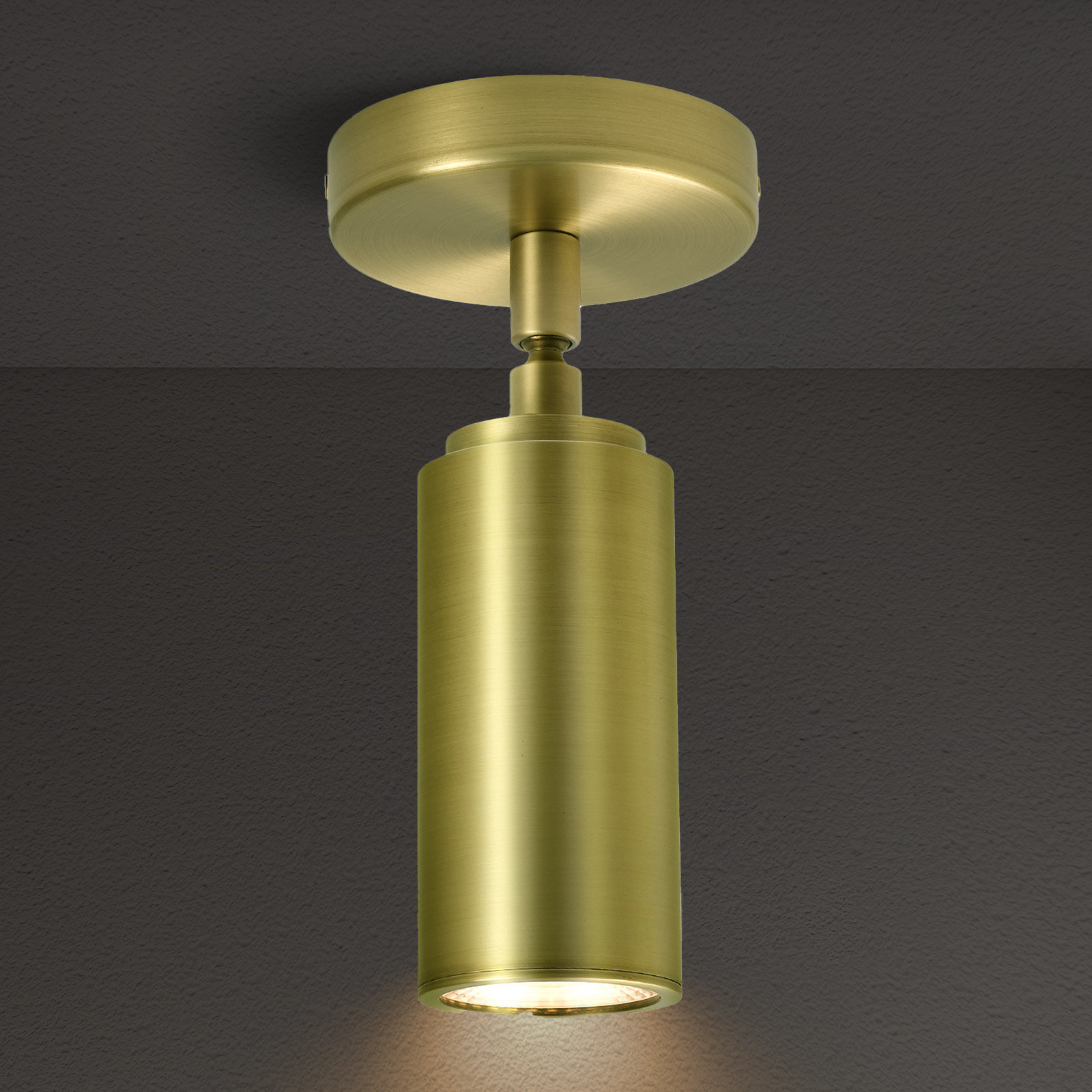 Chacivagarhspace Co., Ltd Dimmable 360° Rotatable LED Ceiling Light ...