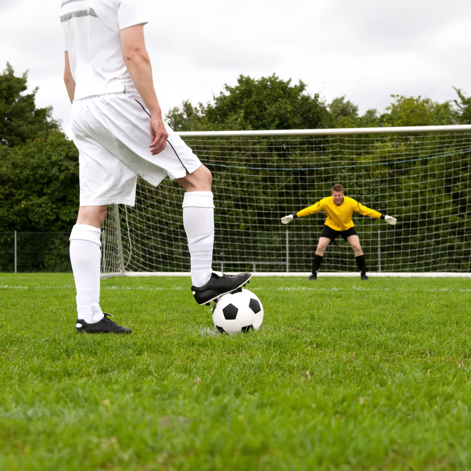 partronum 24 x 8 ft. Metal Professional Soccer Goal w/Net | Wayfair