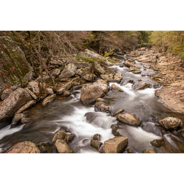 Millwood Pines " River Run " by Aaron Matheson | Wayfair