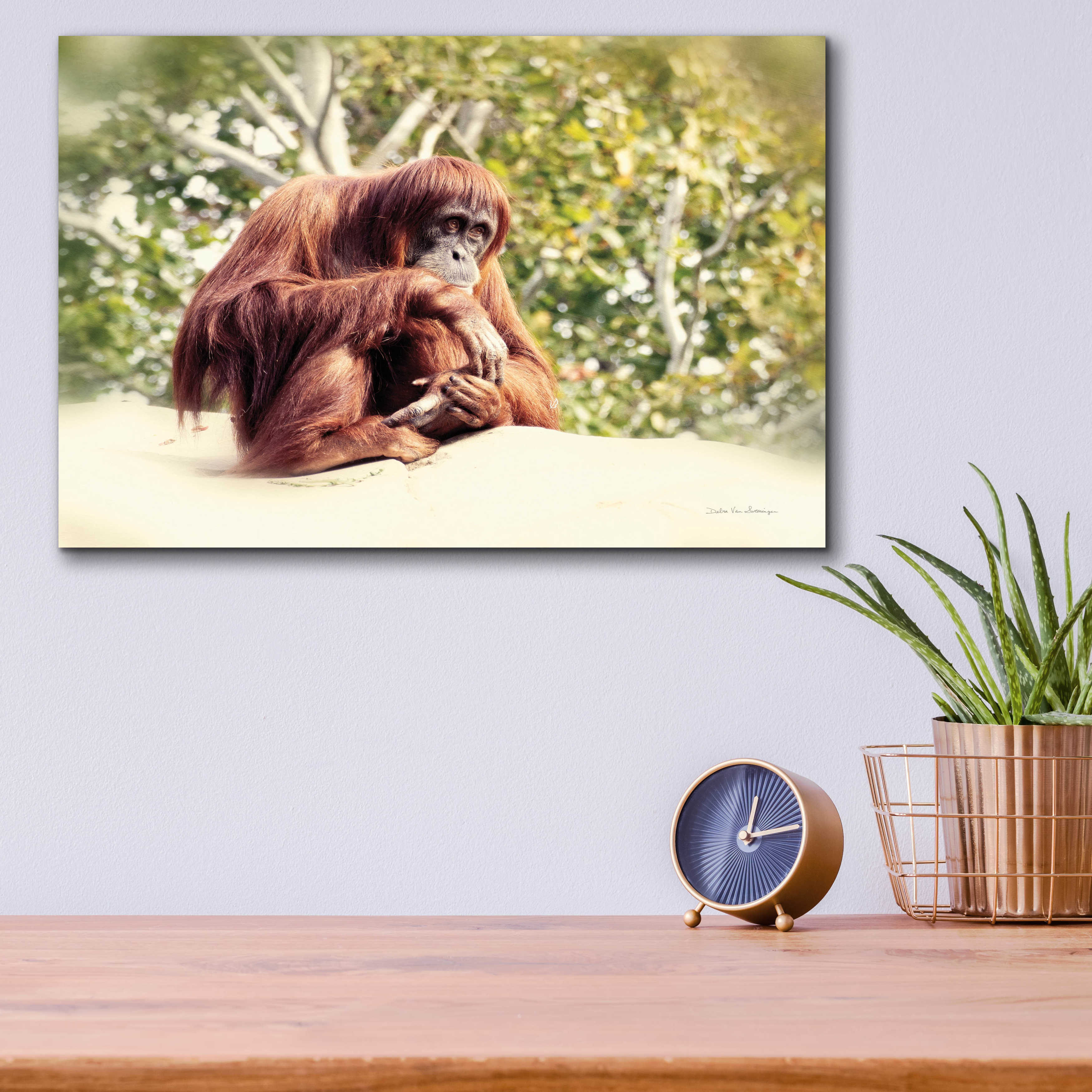 Latitude Run® Epic Art 'Orangutan' By Debra Van Swearingen, Acry ...