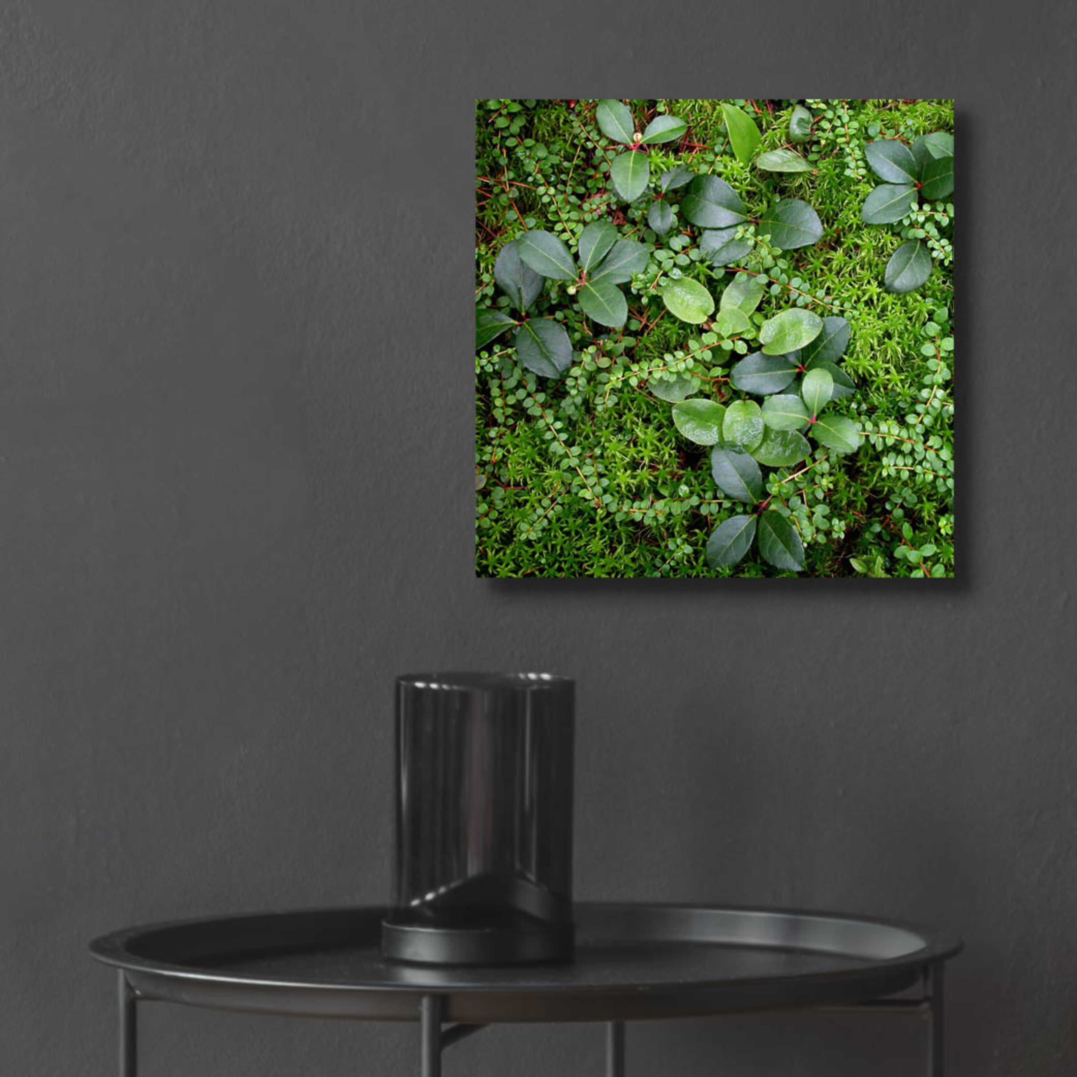 Red Barrel Studio Epic Art 'Forest Floor Detail' By Jan Bell Acrylic ...