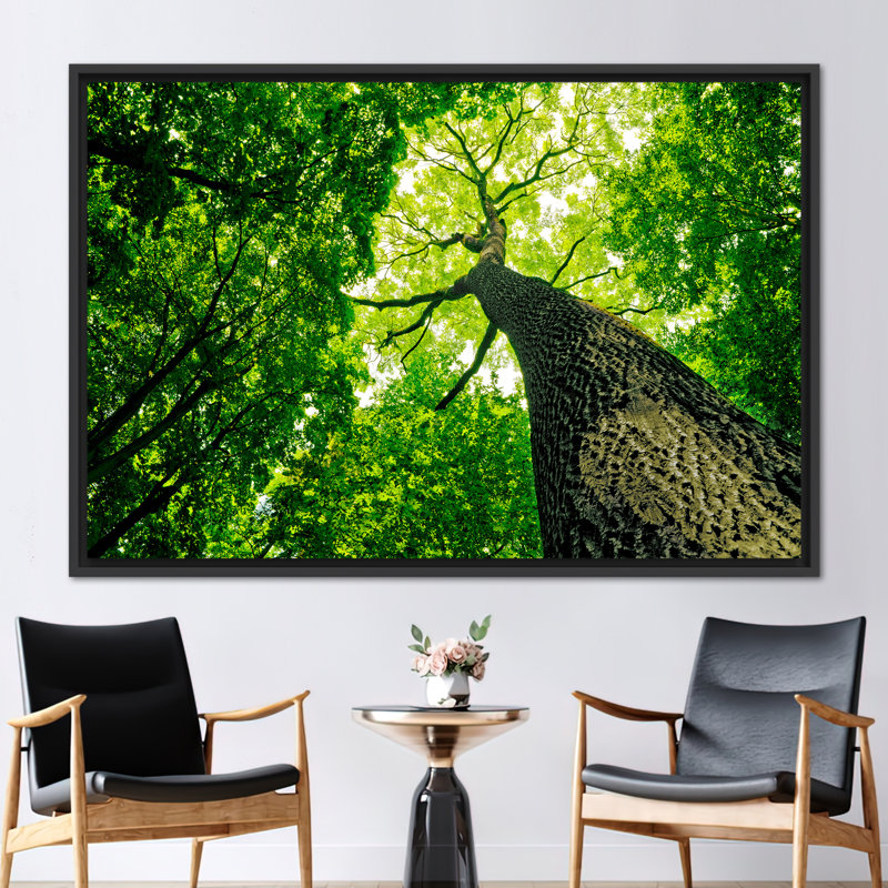 large tree print wallpaper