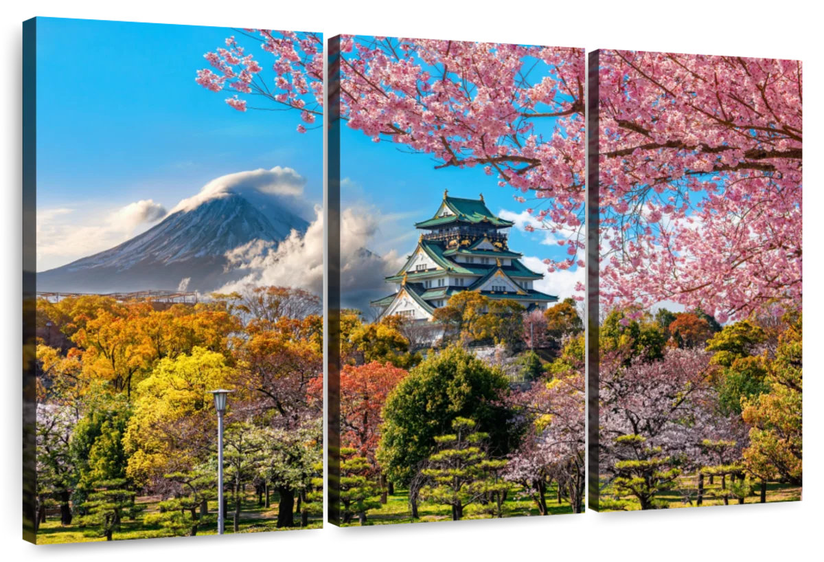 Ebern Designs Kavia Cherry Blossoms Japan | Wayfair