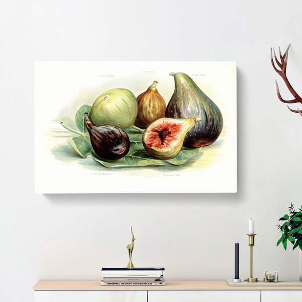 East Urban Home Vintage Illustration Of Figs - Wrapped Canvas Painting ...