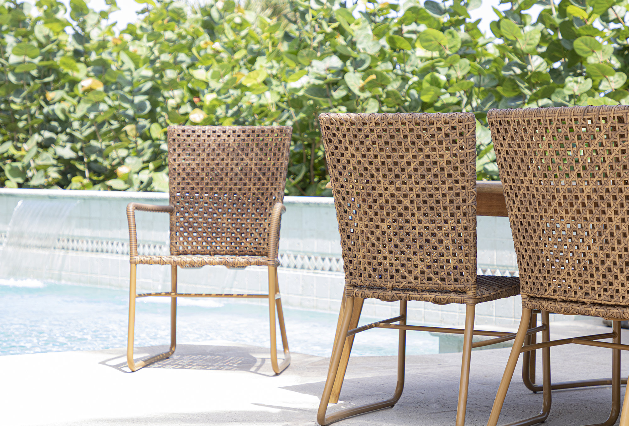 David Francis Furniture Bay Dining Side Chair - Wayfair Canada