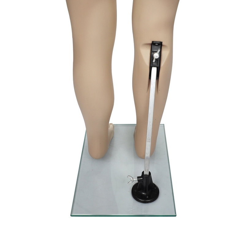 Rebrilliant Valya vidaXL Mannequin Beige & Reviews | Wayfair