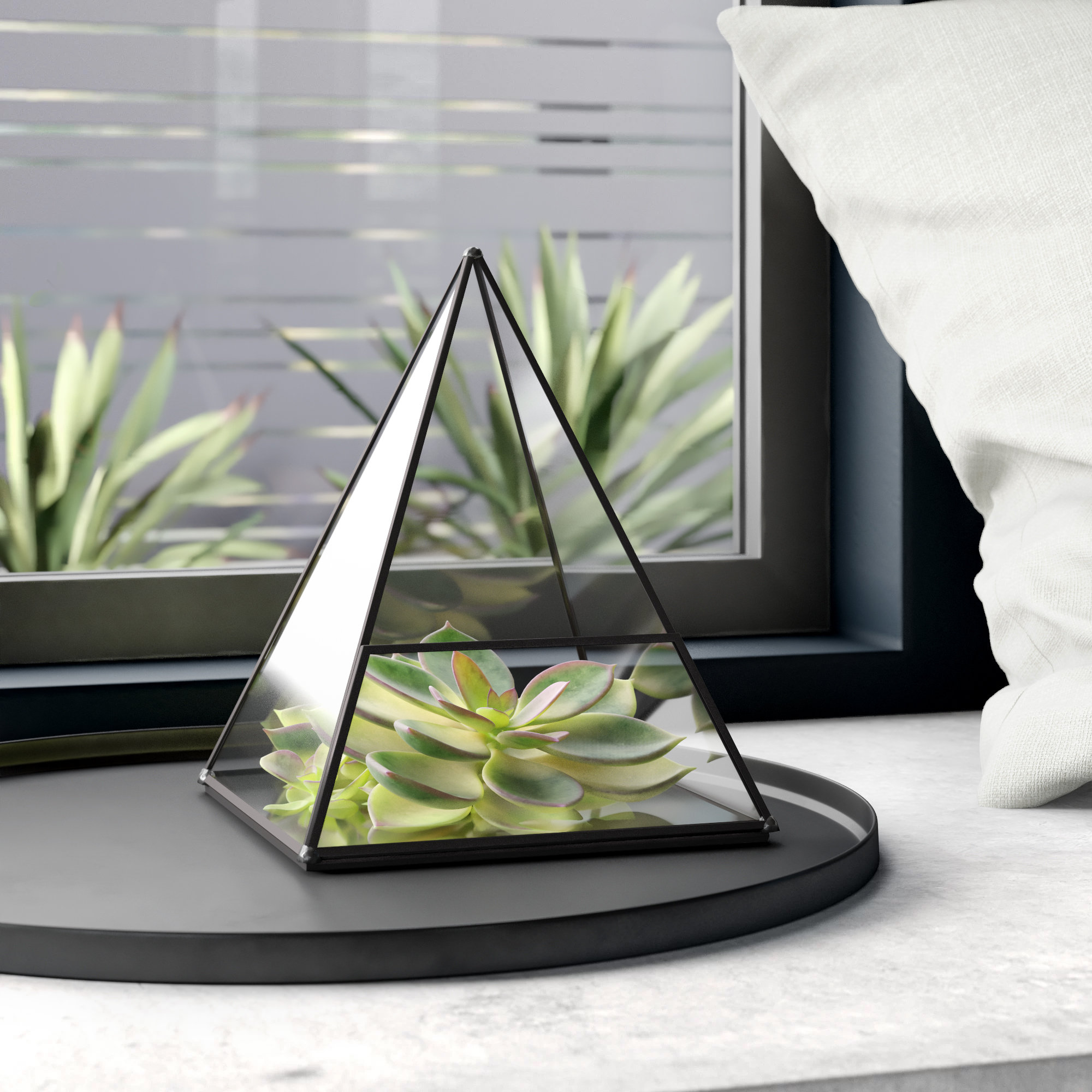 Wrought Studio™ Pentahedron Pyramid Glass Terrarium & Reviews | Wayfair