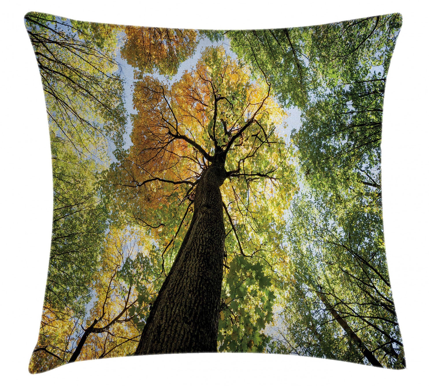 Ambesonne Forest in Autumn Nature Deciduous Foliage Growth Eco Indoor ...