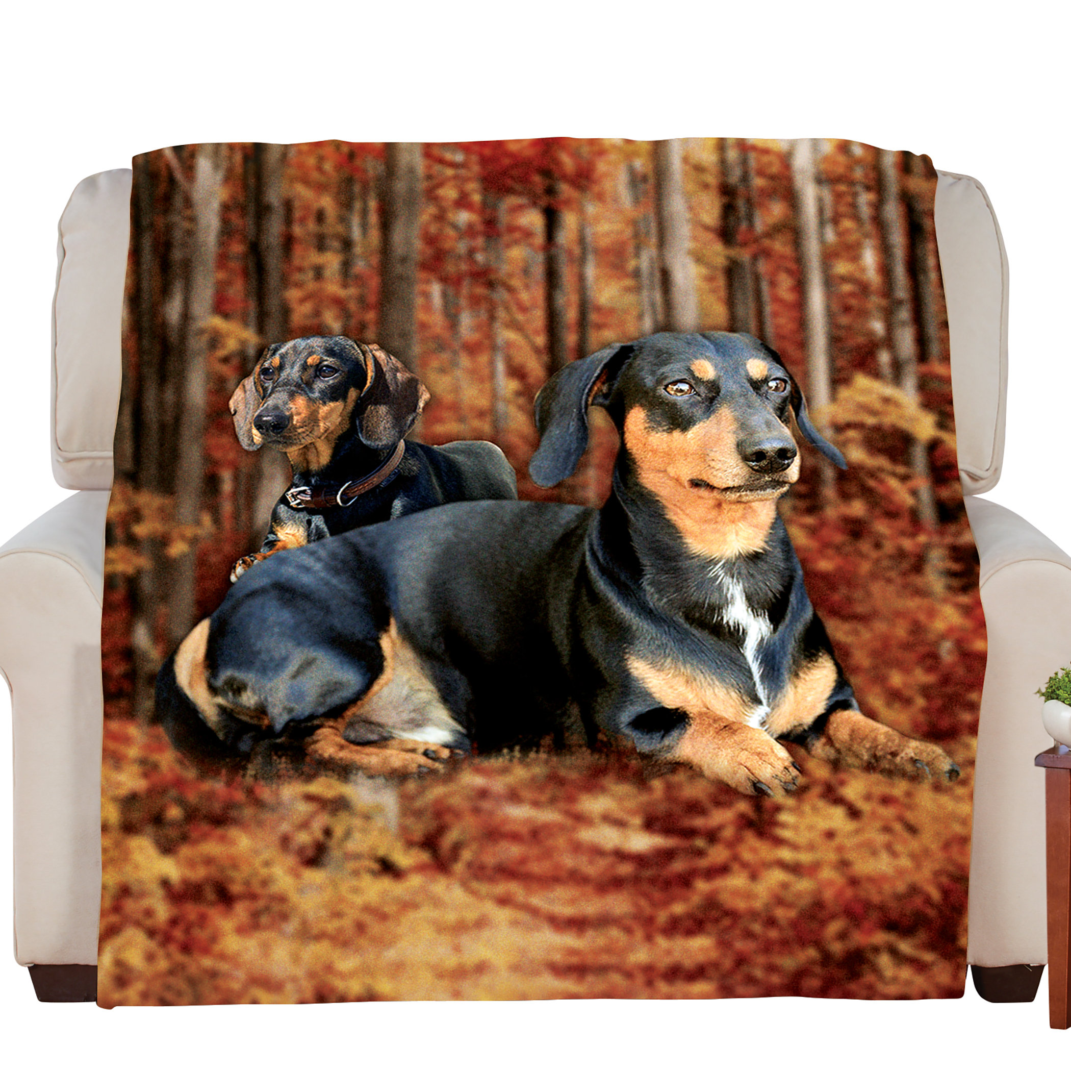 Winston Brands Citadel Realistic Dog Breed Cozy Throw - Wayfair Canada