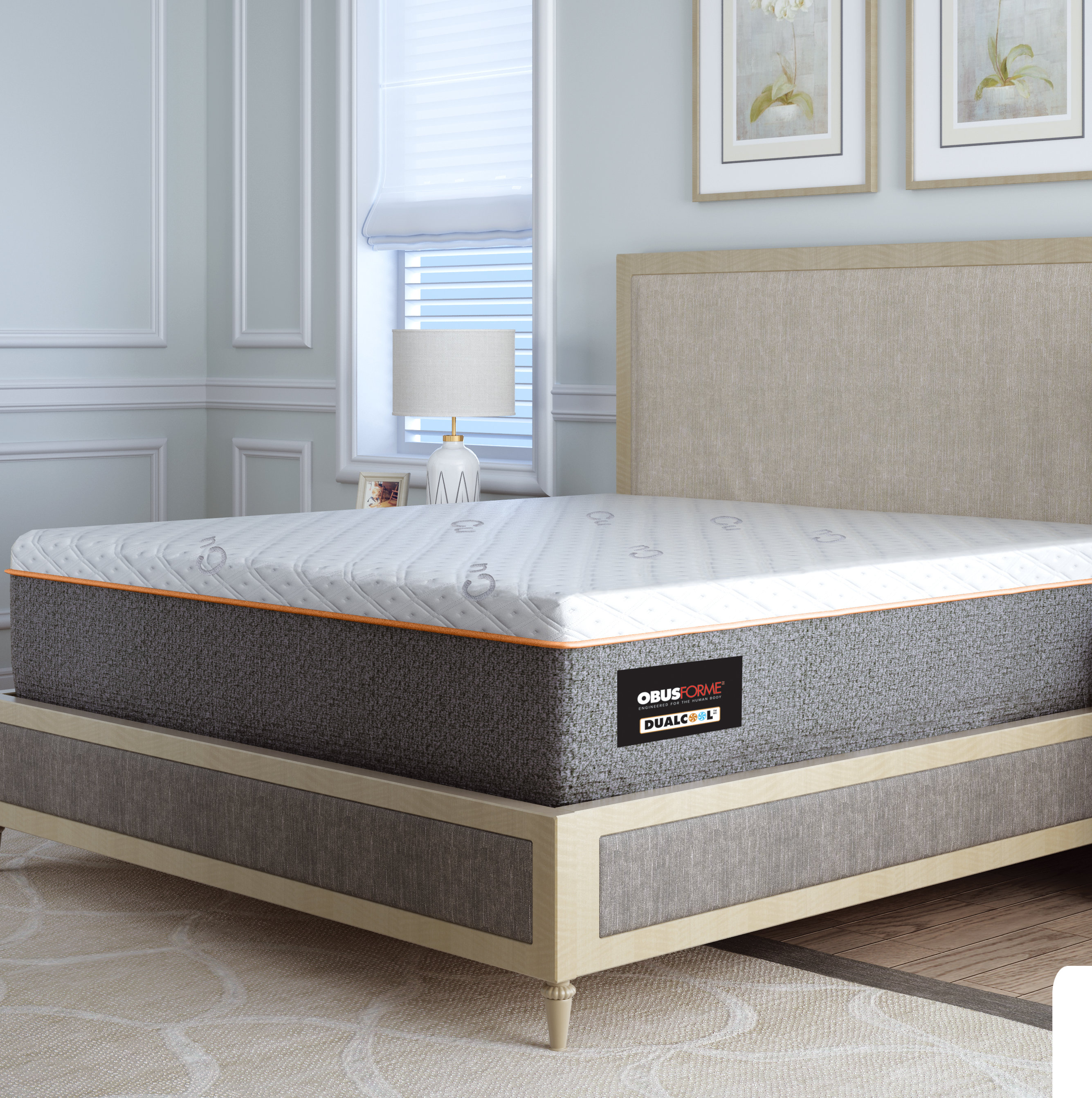 Obusforme Dualcool 14" Bed In A Box Mattress - Wayfair Canada