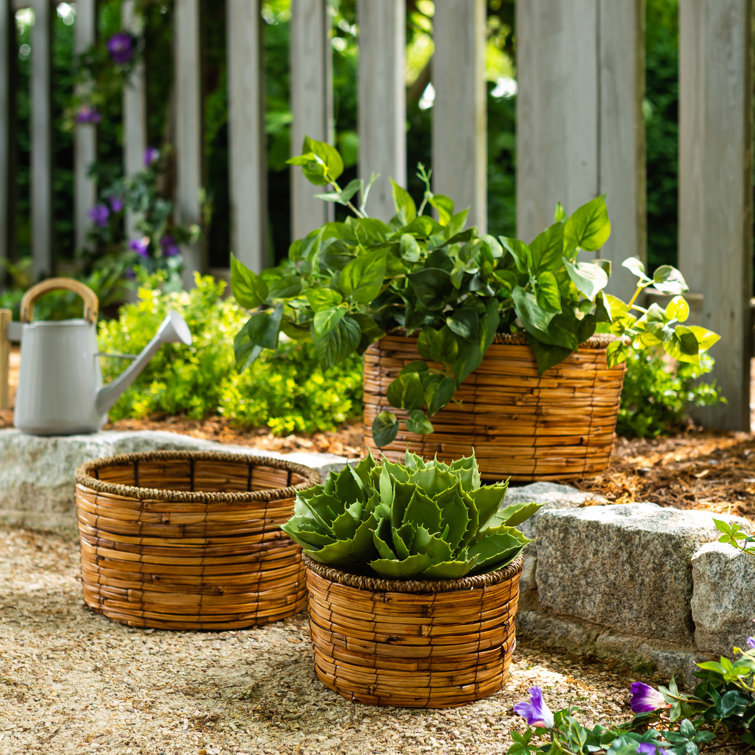 Bayou Breeze Avanell Pot Planter - Wayfair Canada