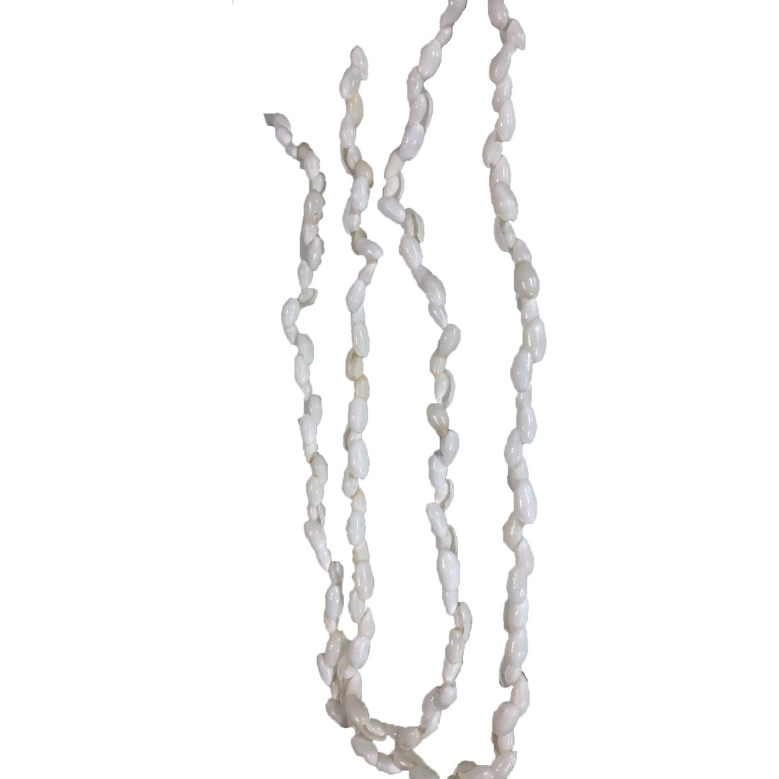 Rosecliff Heights 6 Preserved 6' Bubble Strands Garlands | Wayfair
