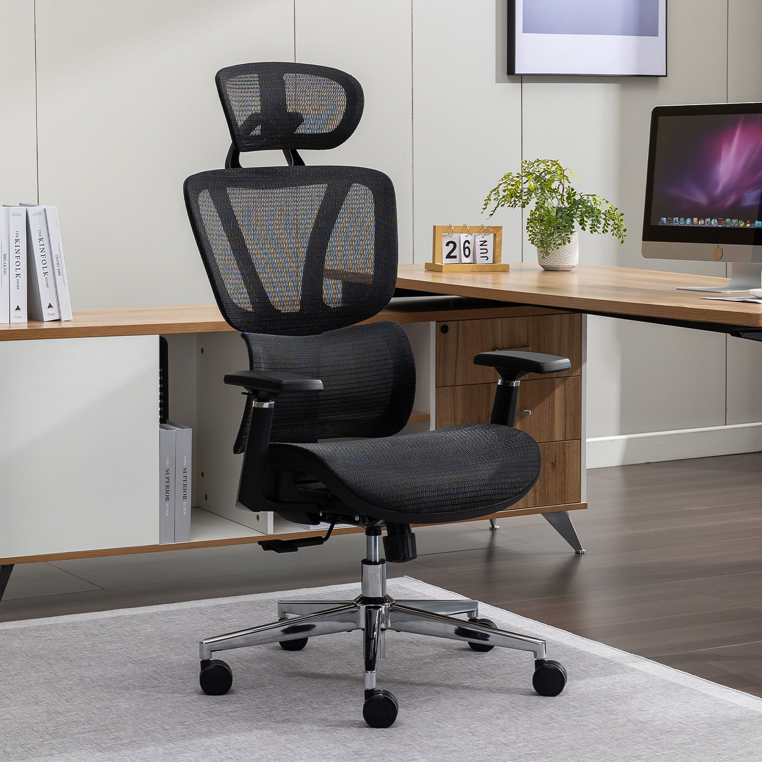 Inbox Zero Gavazova Ergonomic High Back Mesh Office Chair with ...