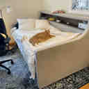 Wade Logan® Amylah Upholstered Twin Daybed & Reviews | Wayfair